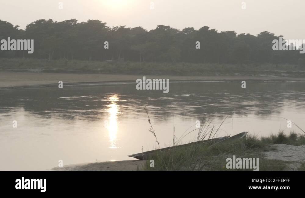 Chitwan park wildlife Stock Videos & Footage - HD and 4K Video Clips ...