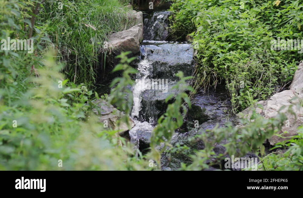 Waterfall and grass Stock Videos & Footage - HD and 4K Video Clips - Alamy