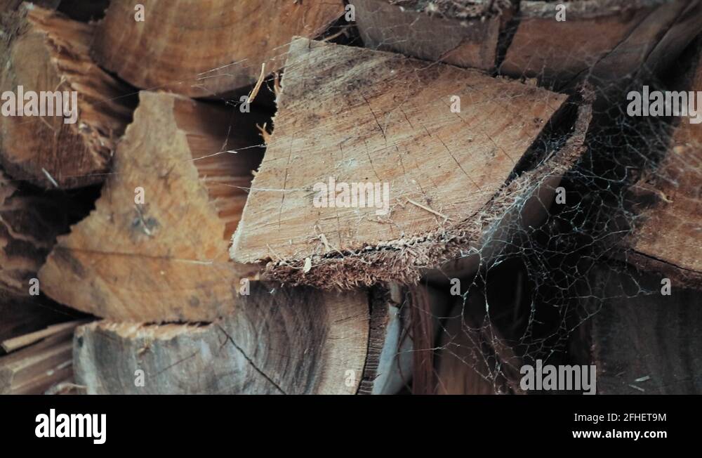 Chopping of wood Stock Videos & Footage - HD and 4K Video Clips - Alamy