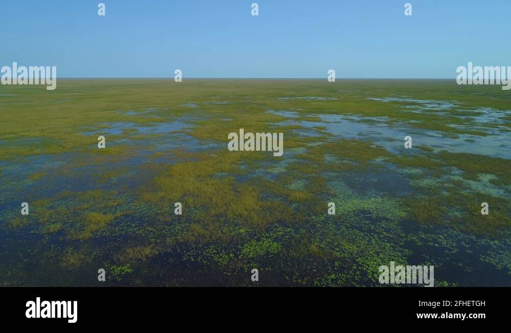 Florida swamp aerial Stock Videos & Footage - HD and 4K Video Clips - Alamy