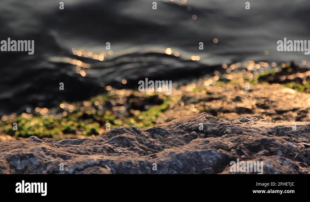 Ocean water lapping Stock Videos & Footage - HD and 4K Video Clips - Alamy