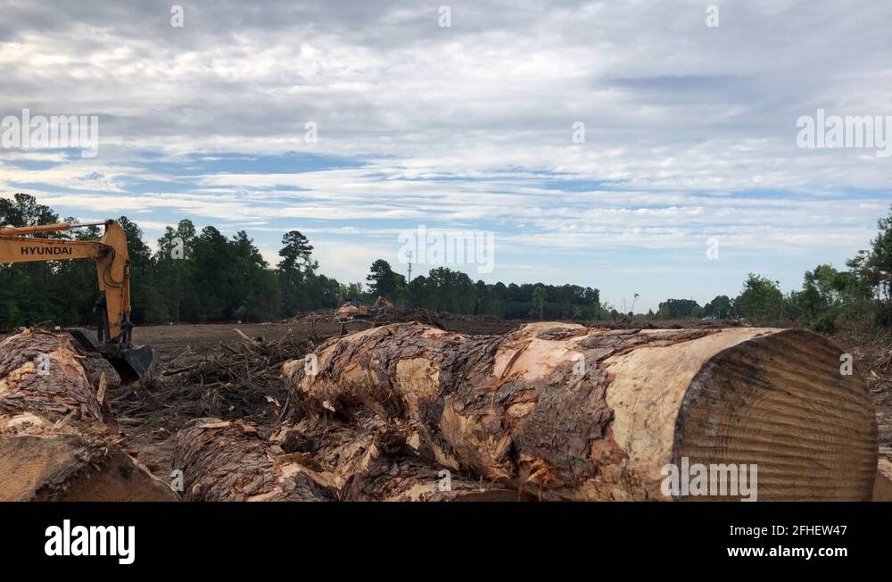 Suburban deforestation Stock Videos & Footage - HD and 4K Video Clips ...