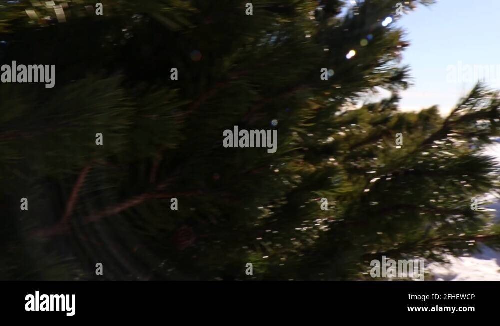 Chilling Stock Videos & Footage - HD and 4K Video Clips - Alamy