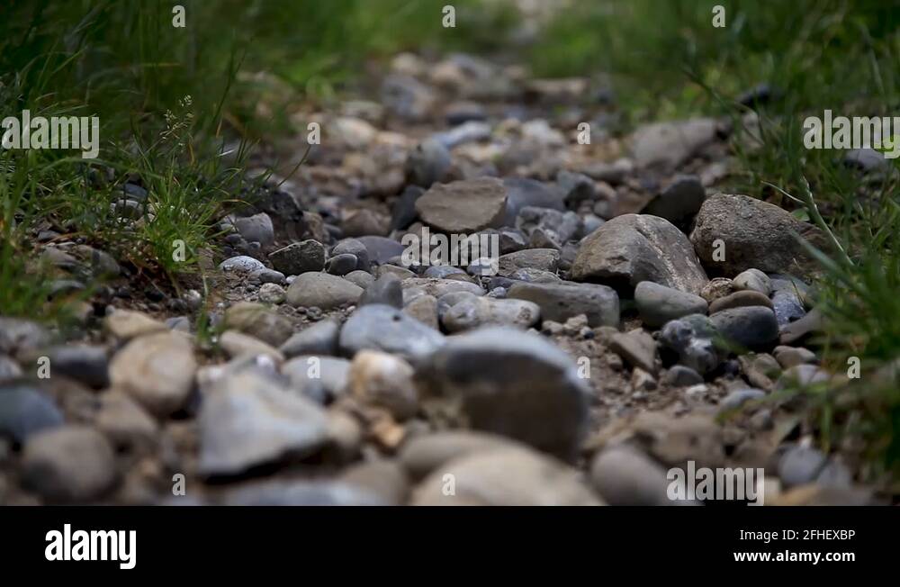 Stonepath Stock Videos & Footage - HD and 4K Video Clips - Alamy