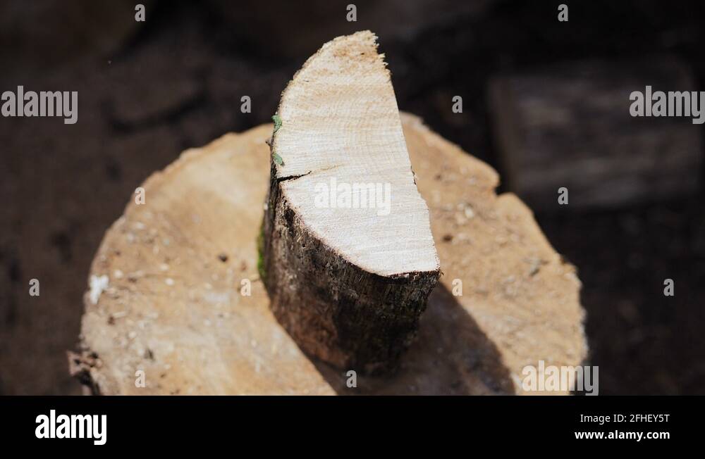 Using ax Stock Videos & Footage - HD and 4K Video Clips - Alamy