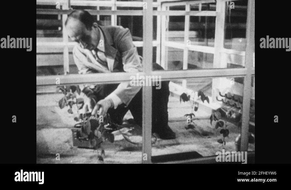 Radioactive environment Stock Videos & Footage - HD and 4K Video Clips ...