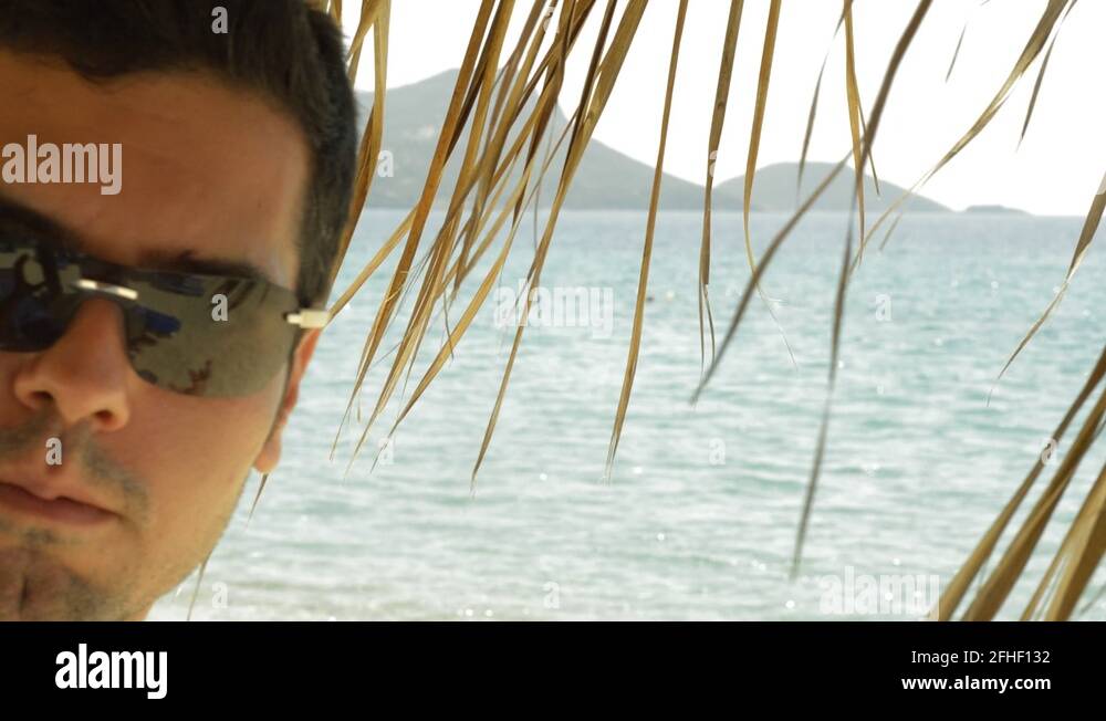 Palm leaves waving Stock Videos & Footage - HD and 4K Video Clips - Alamy