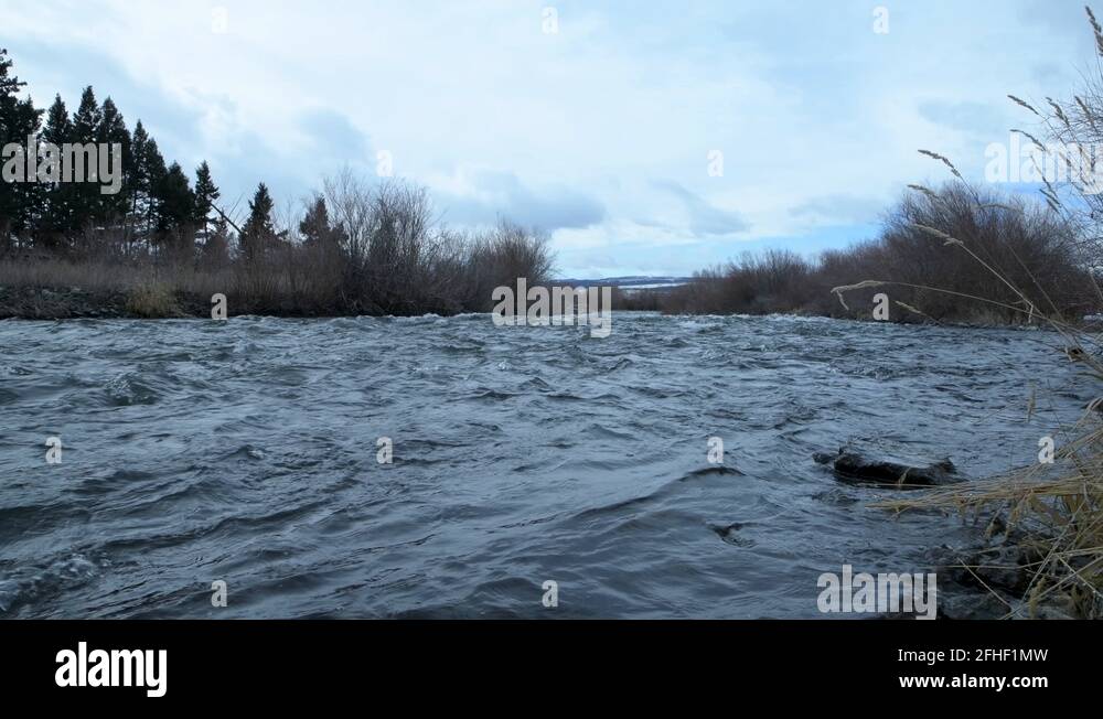 Strong flowing river Stock Videos & Footage - HD and 4K Video Clips - Alamy