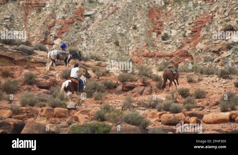 Cowboy scenery Stock Videos & Footage - HD and 4K Video Clips - Alamy