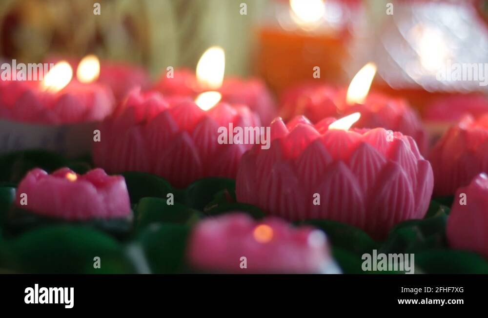 Flower shaped temple Stock Videos & Footage - HD and 4K Video Clips - Alamy