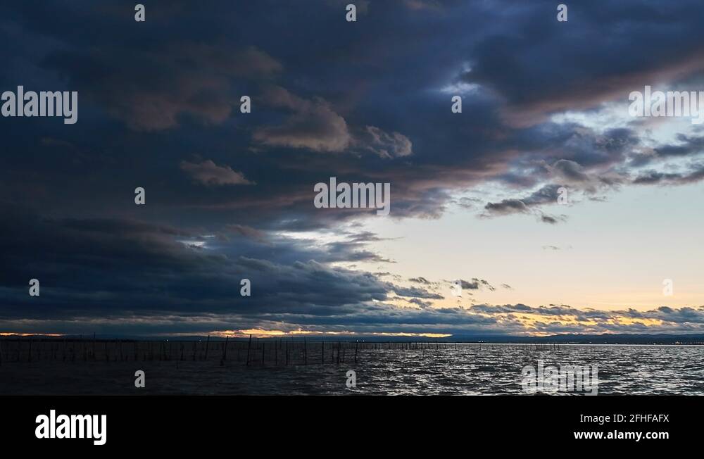 Day time nature Stock Videos & Footage - HD and 4K Video Clips - Alamy