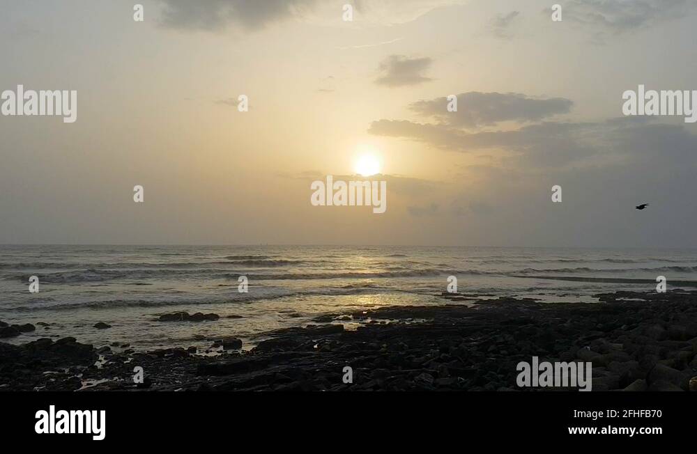 Birds flying sun Stock Videos & Footage - HD and 4K Video Clips - Alamy