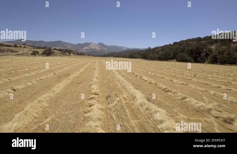 Hay triangle Stock Videos & Footage - HD and 4K Video Clips - Alamy
