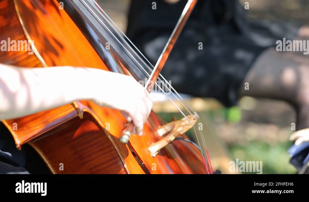 Playing cello Stock Videos & Footage - HD and 4K Video Clips - Alamy