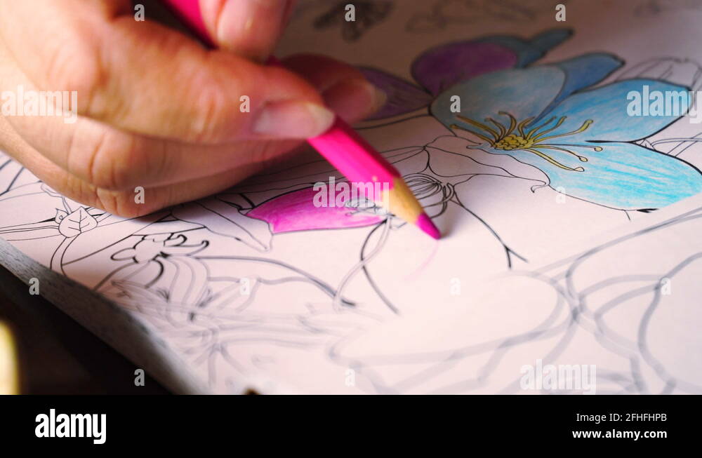 Pencil coloring Stock Videos & Footage - HD and 4K Video Clips - Alamy
