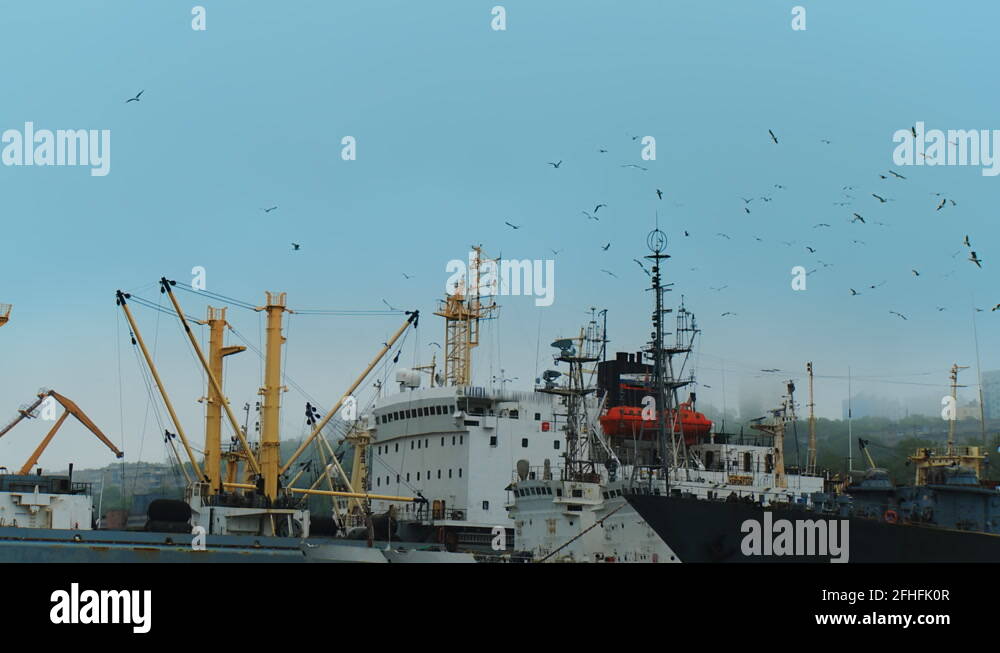 Sea going ships Stock Videos & Footage - HD and 4K Video Clips - Alamy