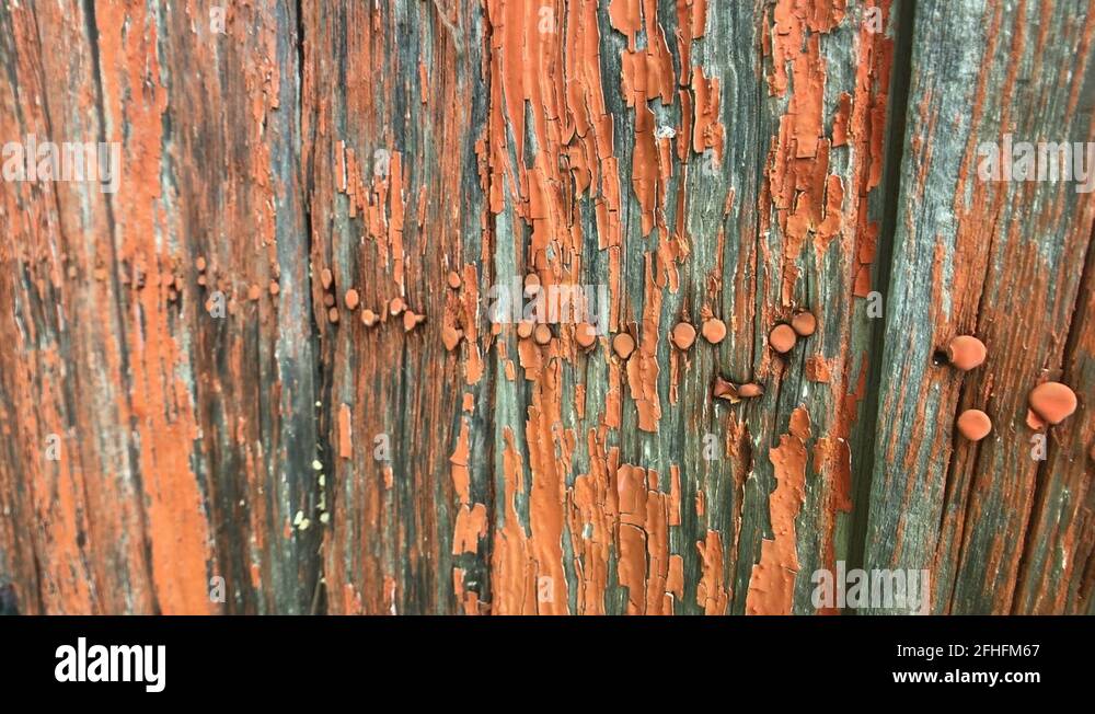 Chipped paint Stock Videos & Footage - HD and 4K Video Clips - Alamy