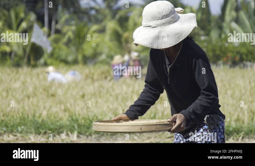 Farmhand female Stock Videos & Footage - HD and 4K Video Clips - Alamy