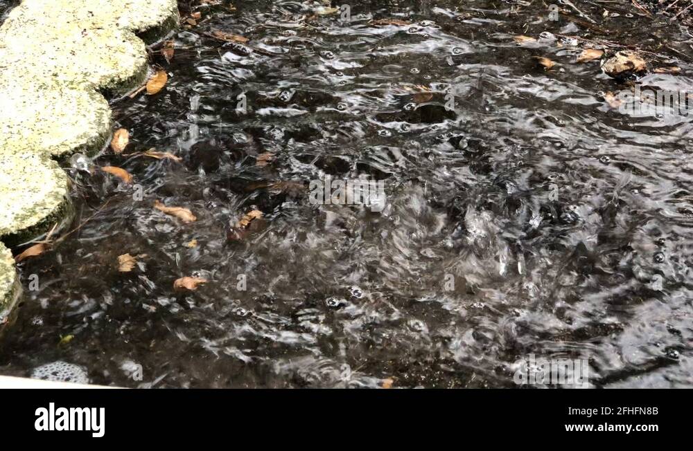 Rain puddle soil Stock Videos & Footage - HD and 4K Video Clips - Alamy