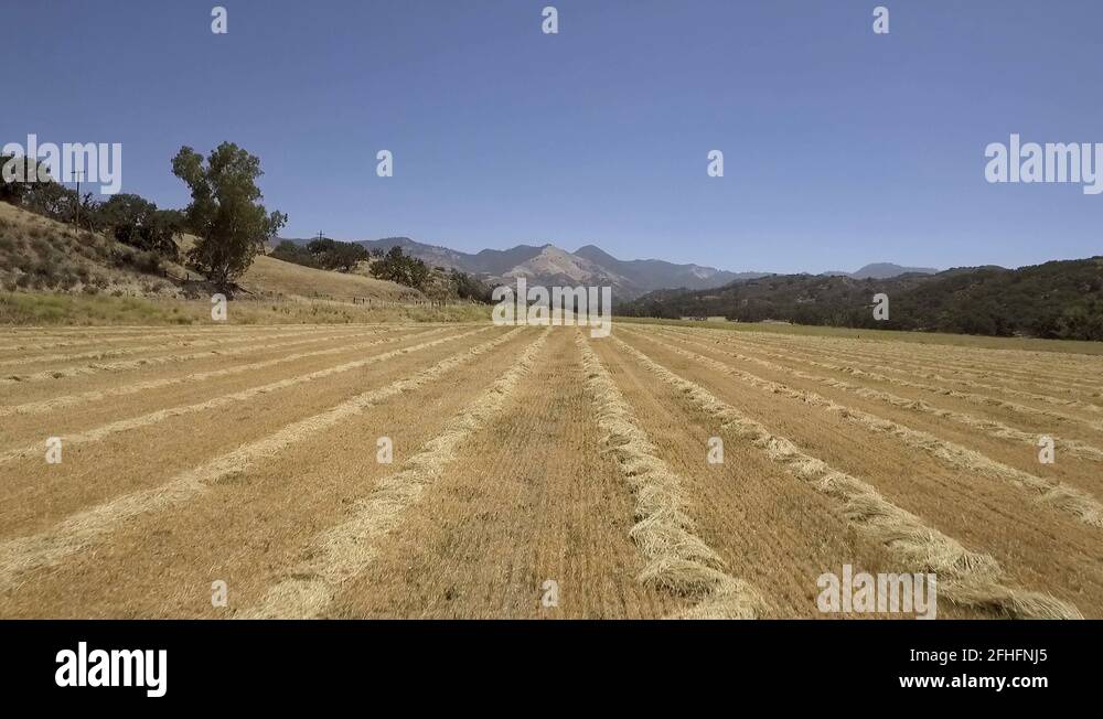 Windrow Stock Videos & Footage - HD and 4K Video Clips - Alamy