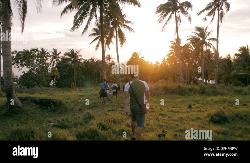 Chasing trees Stock Videos & Footage - HD and 4K Video Clips - Alamy