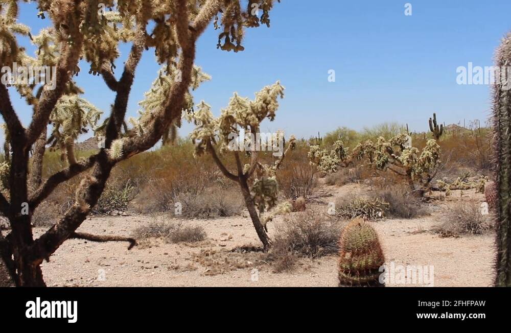 Desert scape Stock Videos & Footage - HD and 4K Video Clips - Alamy