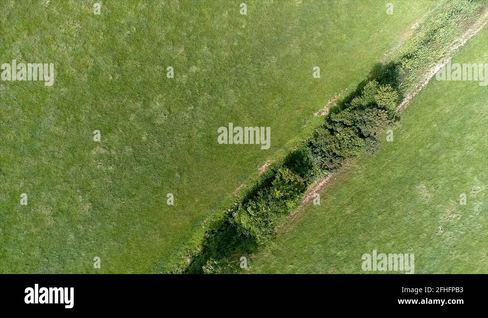 Devon hedgerow Stock Videos & Footage - HD and 4K Video Clips - Alamy