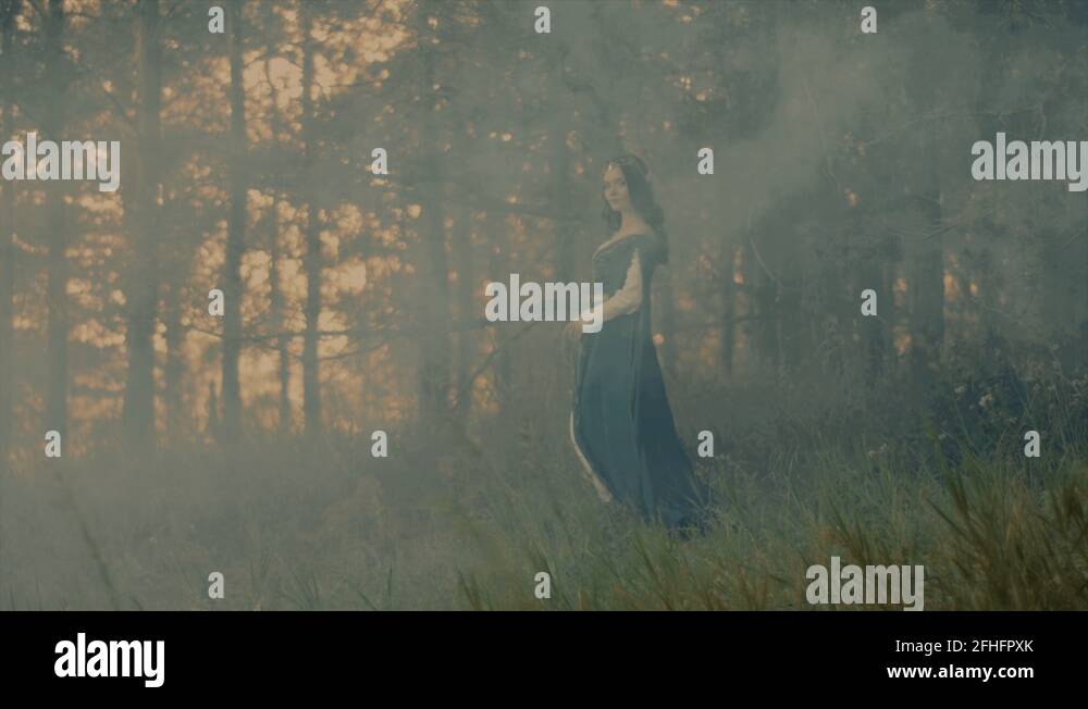 Fairy rings fairy Stock Videos & Footage - HD and 4K Video Clips - Alamy