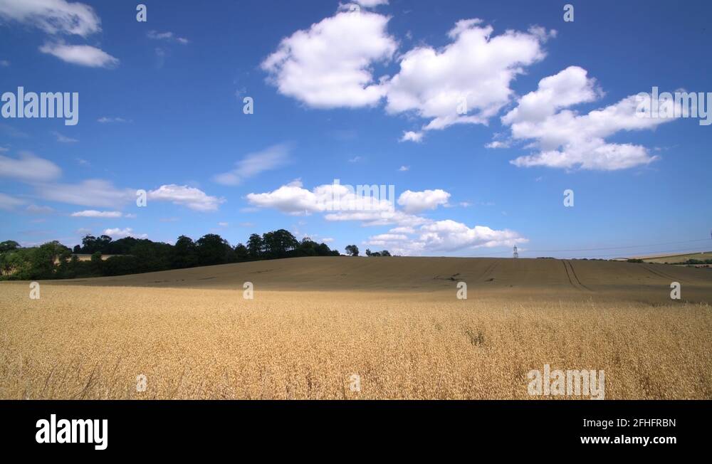 Butser ancient Stock Videos & Footage - HD and 4K Video Clips - Alamy