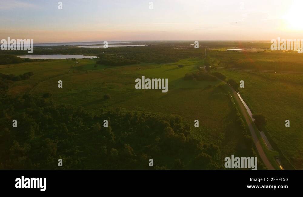 Split oak forest Stock Videos & Footage - HD and 4K Video Clips - Alamy