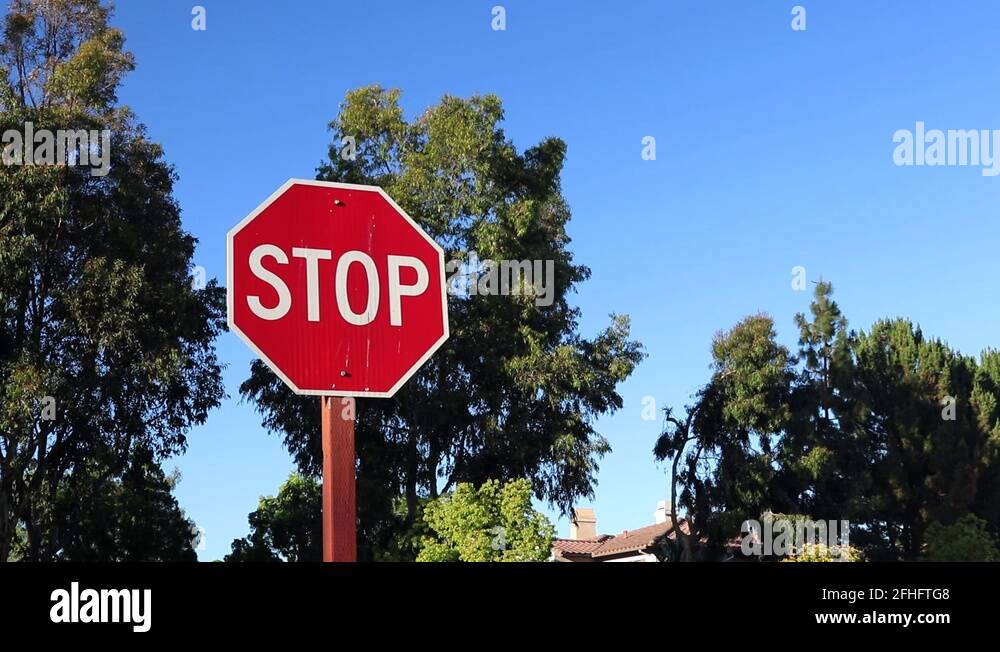 Stop sign with trees Stock Videos & Footage - HD and 4K Video Clips - Alamy