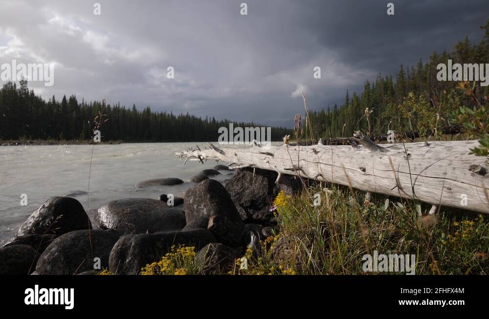 Rain storm river Stock Videos & Footage - HD and 4K Video Clips - Alamy
