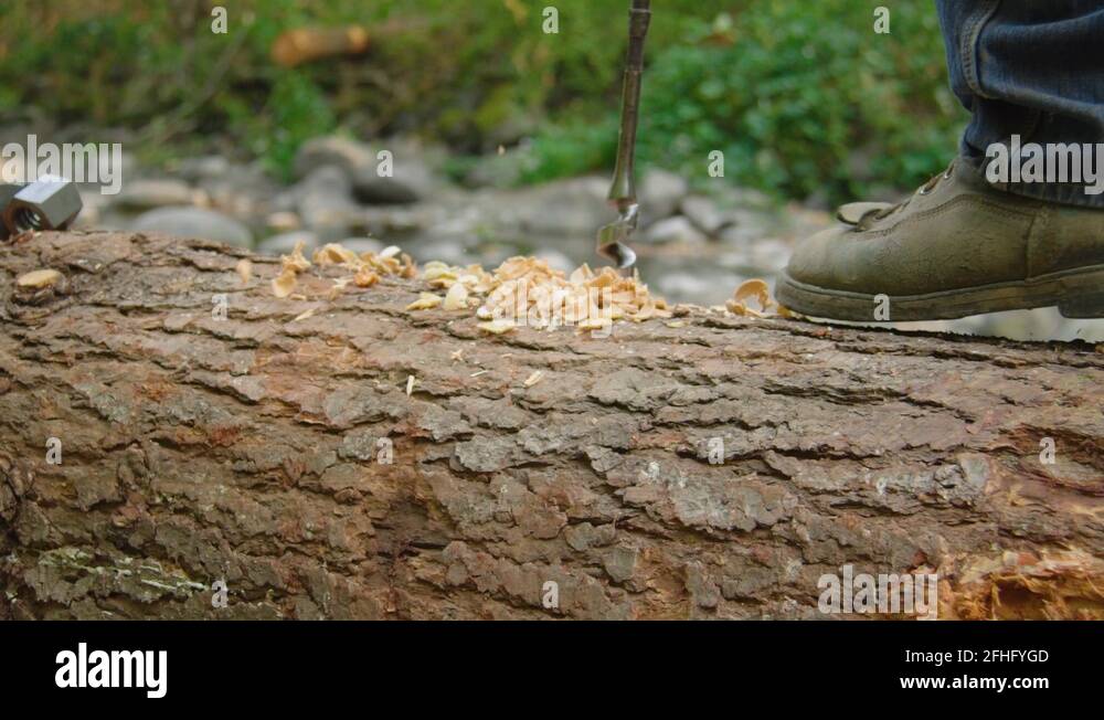 Natural log dam Stock Videos & Footage - HD and 4K Video Clips - Alamy