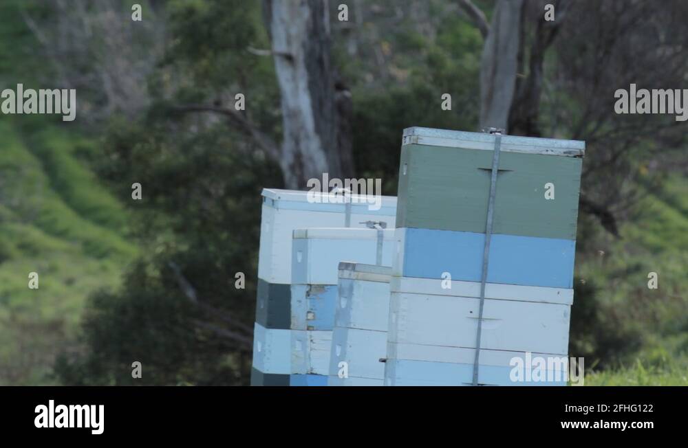 Australia orchard Stock Videos & Footage - HD and 4K Video Clips - Alamy