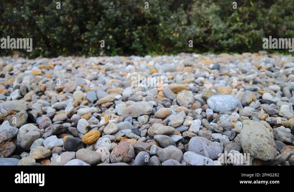 Different pebbles on beach Stock Videos & Footage - HD and 4K Video ...