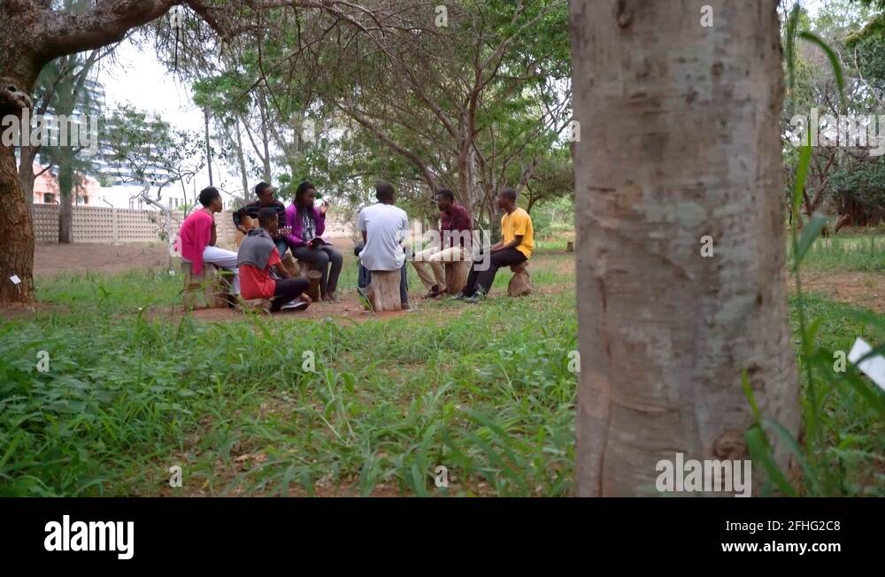 Kids studying under tree Stock Videos & Footage - HD and 4K Video Clips ...