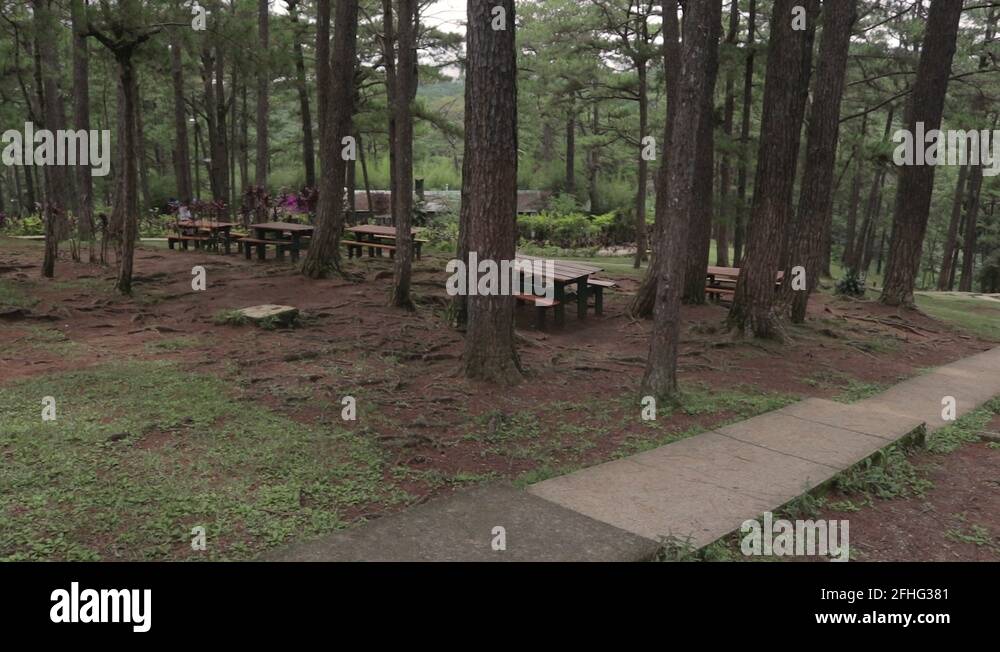 Baguio destination Stock Videos & Footage - HD and 4K Video Clips - Alamy