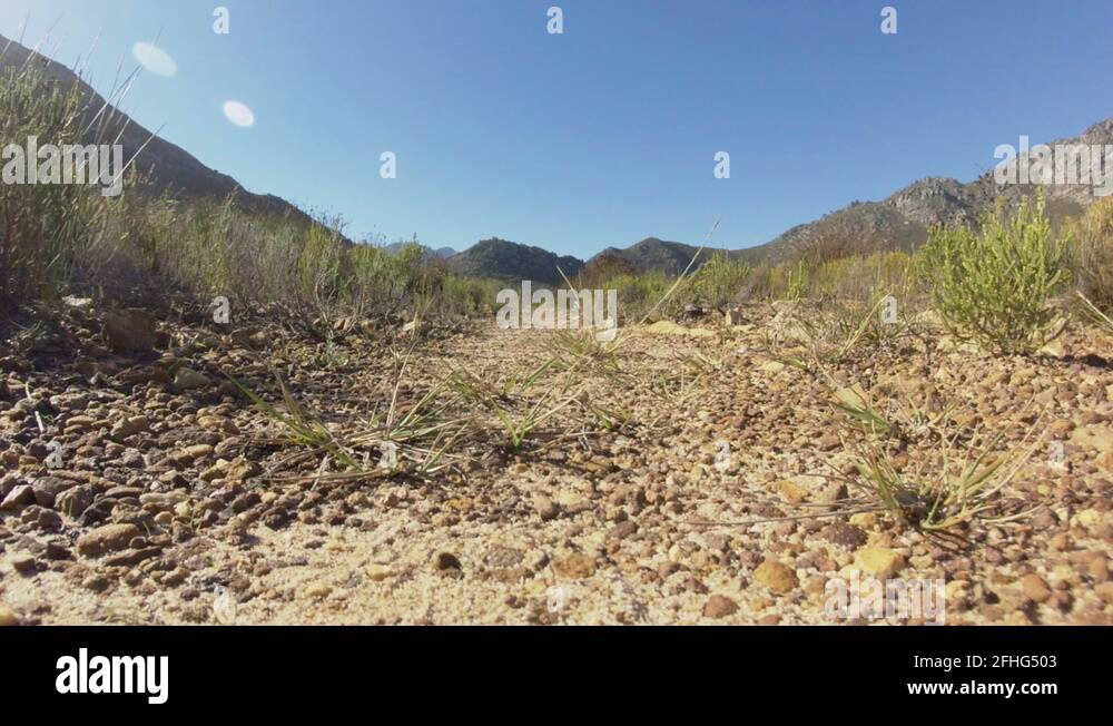 Cape nature reserve Stock Videos & Footage - HD and 4K Video Clips - Alamy