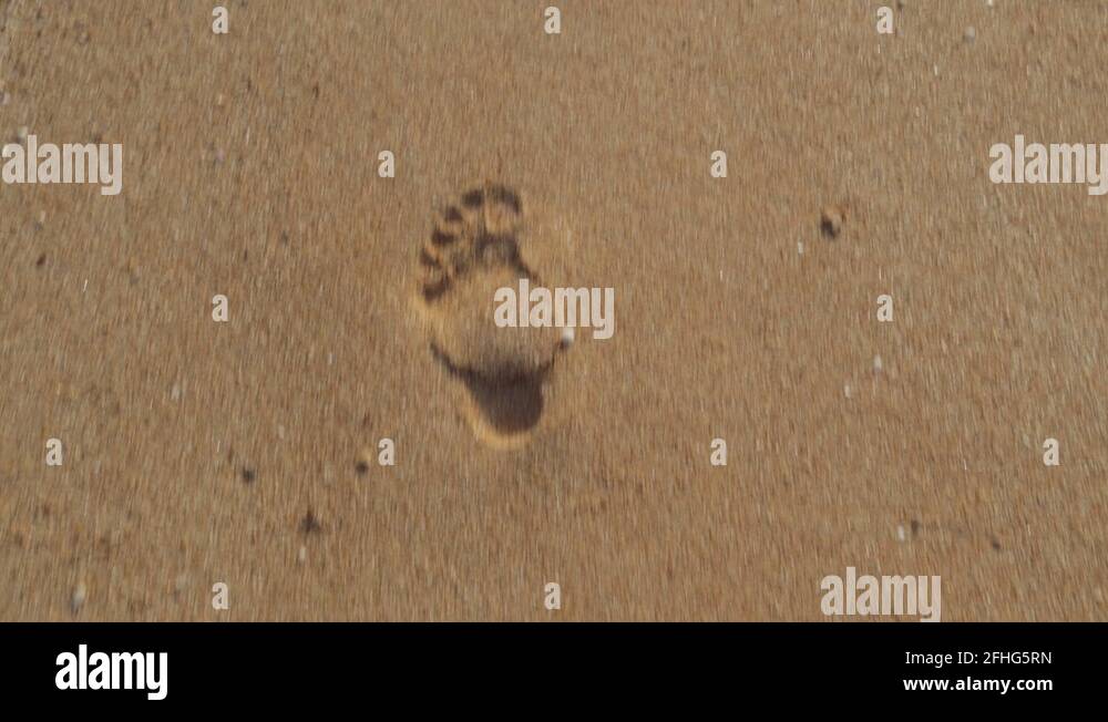 Many human footprints in surface of sand of sea beach in morning Stock ...
