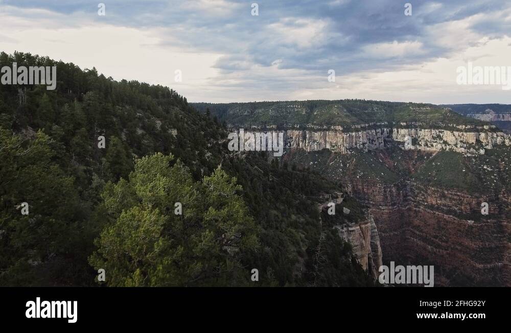 Grand canyon forest Stock Videos & Footage - HD and 4K Video Clips - Alamy