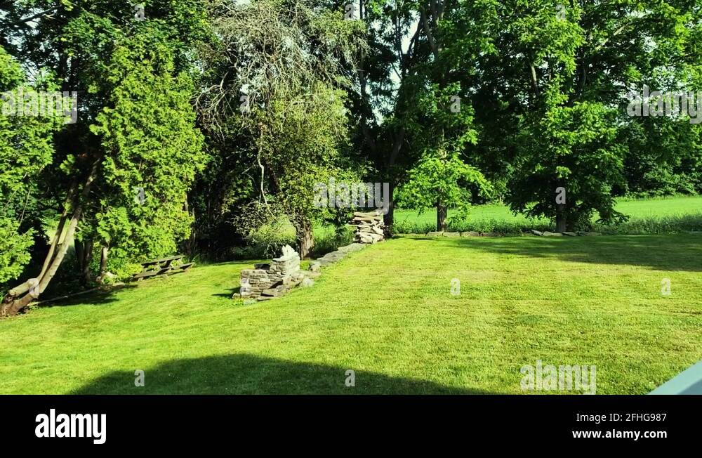 Trees in a yard Stock Videos & Footage - HD and 4K Video Clips - Alamy