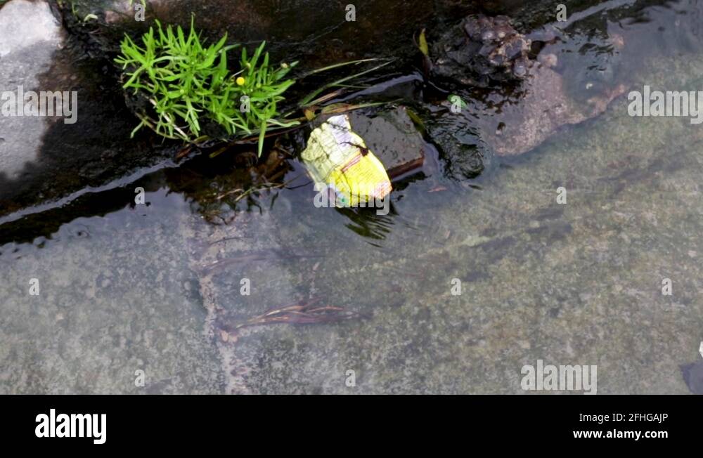 Entrance chip Stock Videos & Footage - HD and 4K Video Clips - Alamy