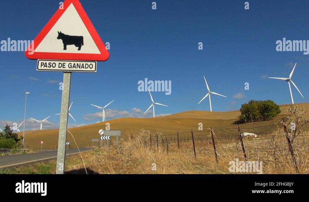 Cattle road sign Stock Videos & Footage - HD and 4K Video Clips - Alamy