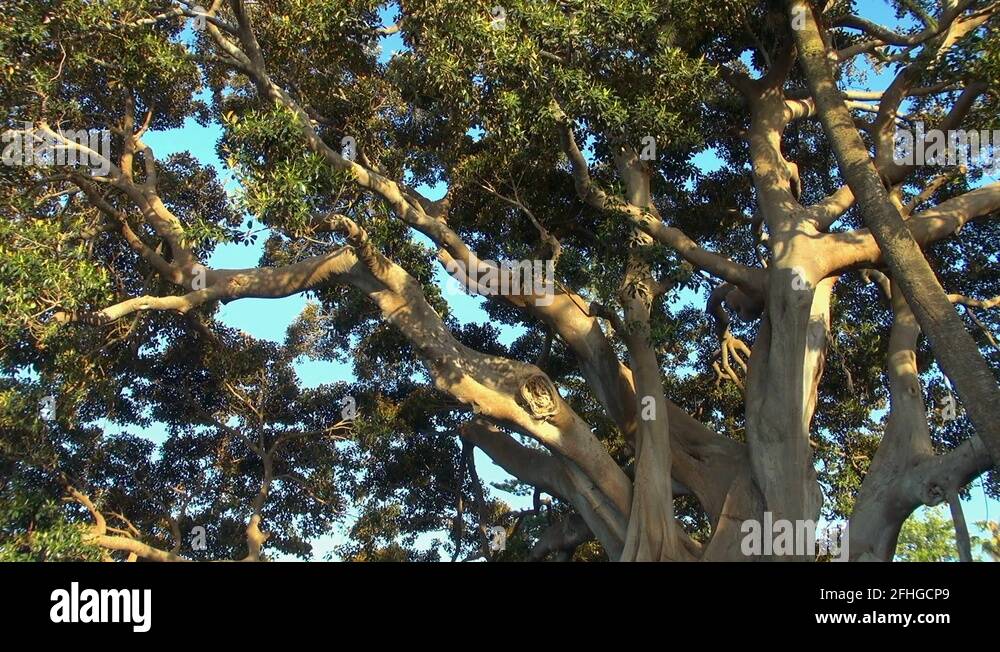 Cadiz nature park Stock Videos & Footage - HD and 4K Video Clips - Alamy