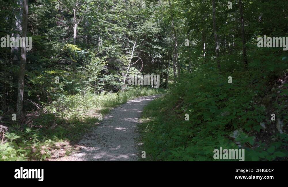 Shady hiking trail Stock Videos & Footage - HD and 4K Video Clips - Alamy