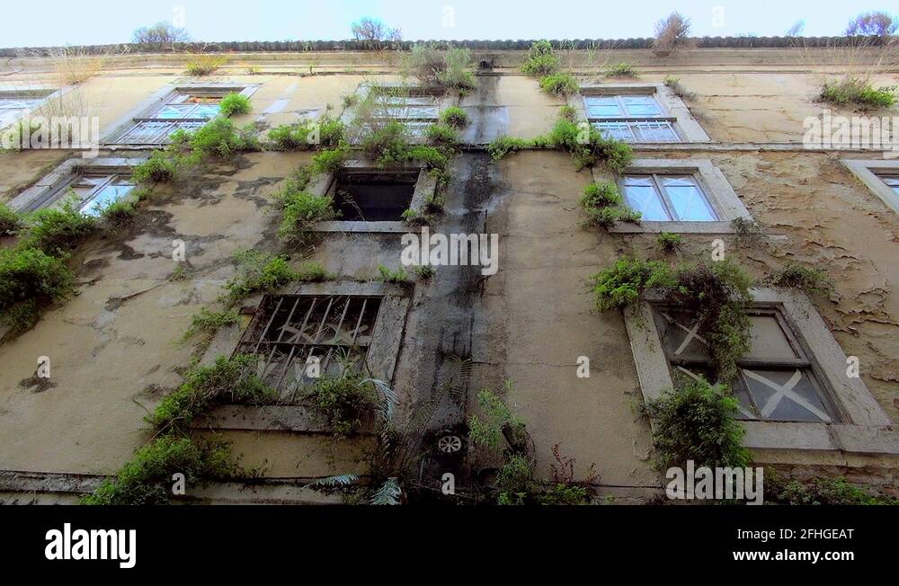 Plants growing building architecture Stock Videos & Footage - HD and 4K ...