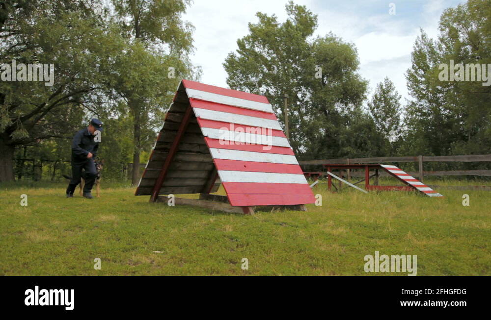 Coach service Stock Videos & Footage - HD and 4K Video Clips - Alamy