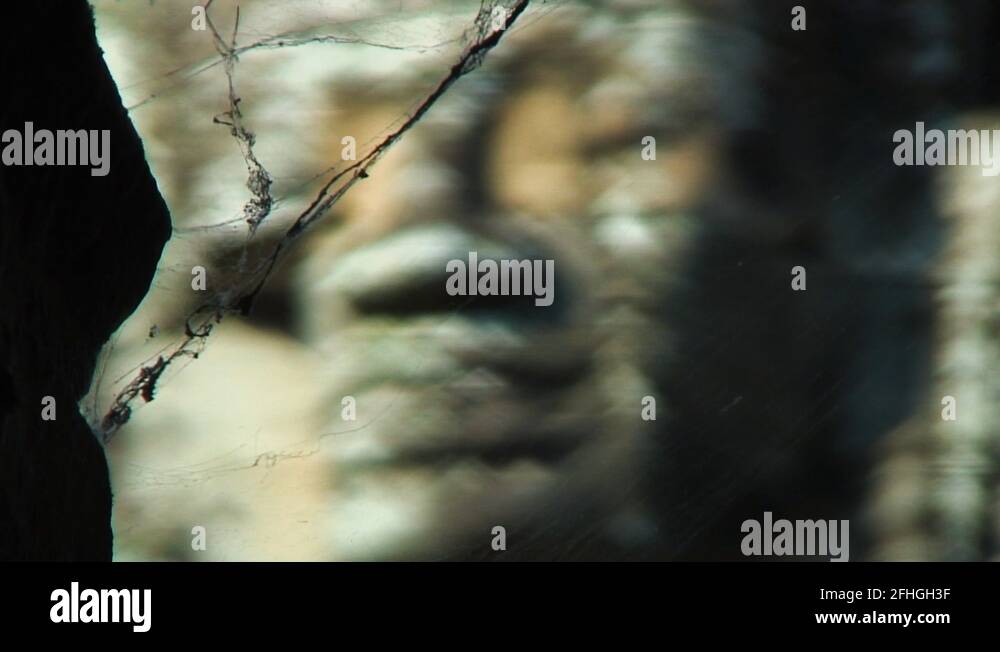 Spider web tower Stock Videos & Footage - HD and 4K Video Clips - Alamy