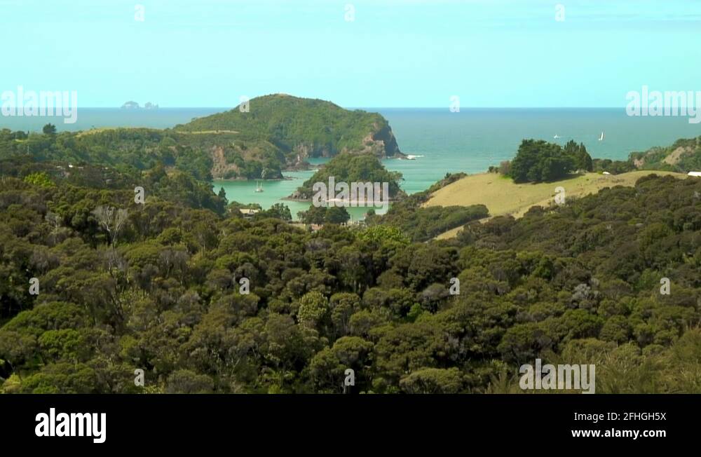 Matapouri bay Stock Videos & Footage - HD and 4K Video Clips - Alamy