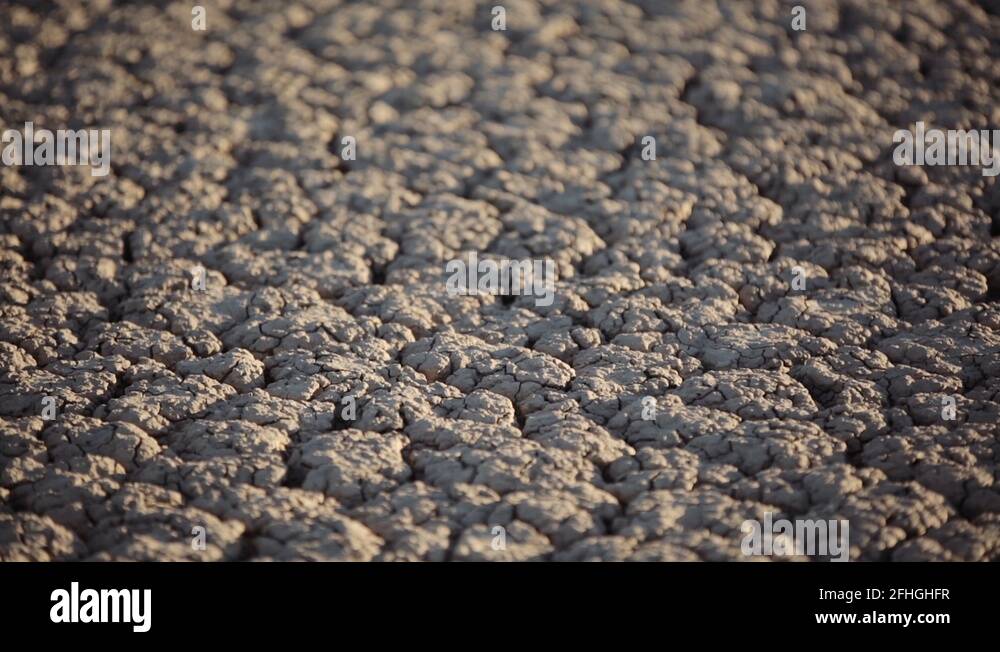Cracked desert floor texture Stock Video Footage - Alamy